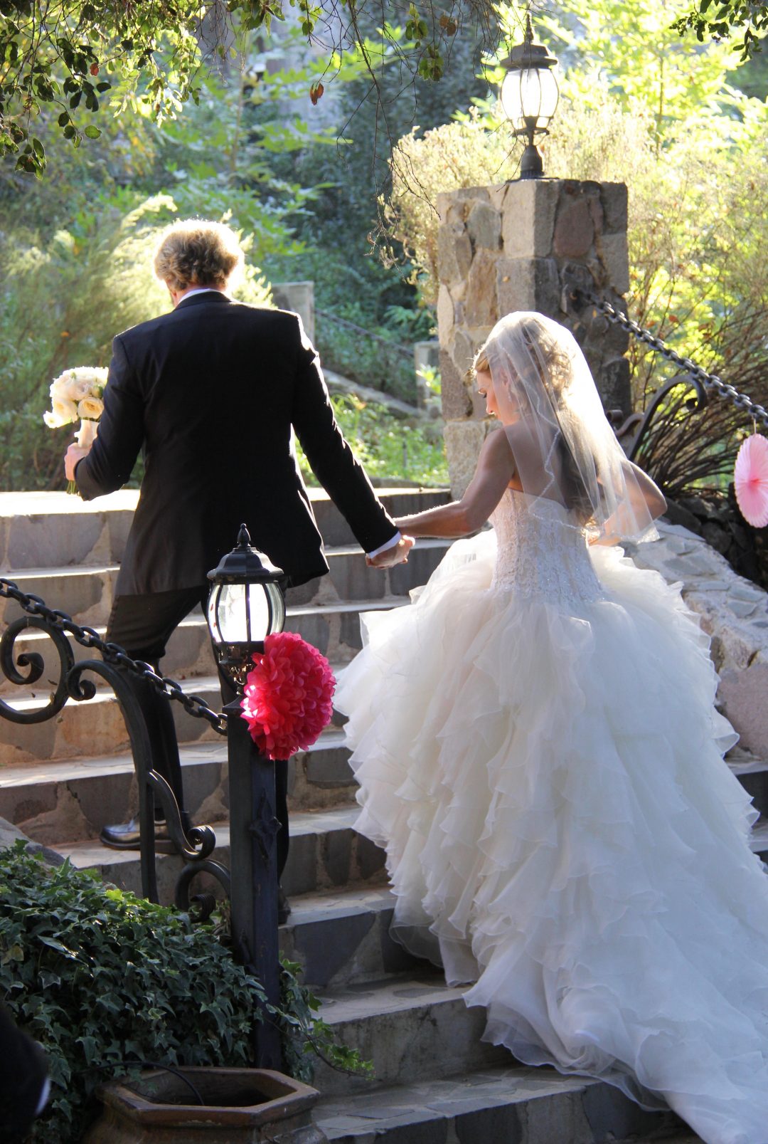 David Wilcock Marriage Announcement: A Happy Life! | Divine Cosmos